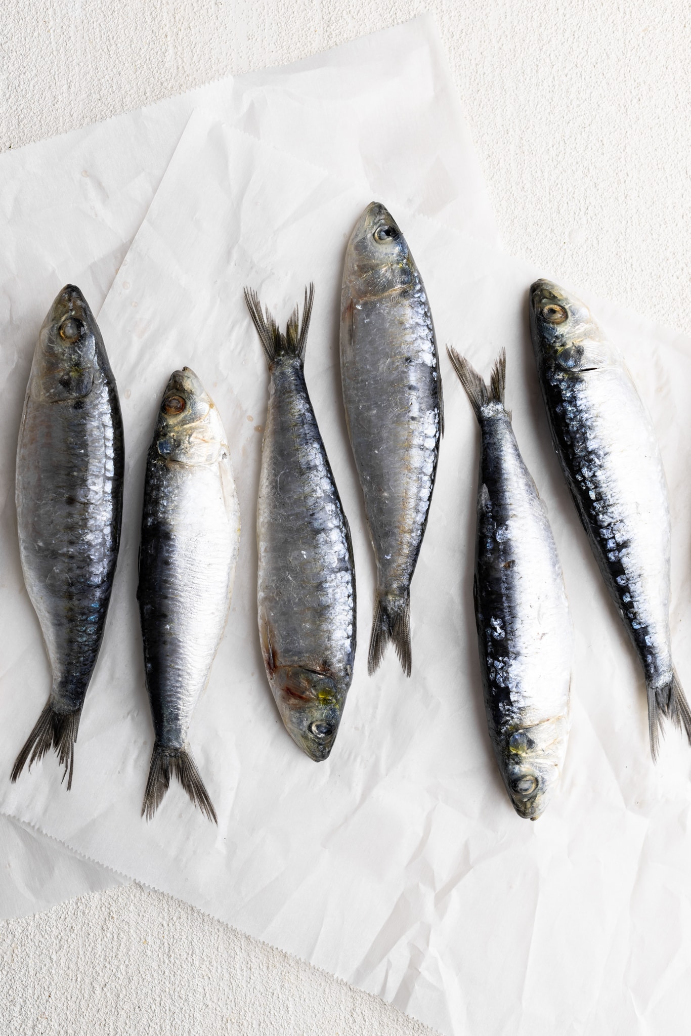 Portuguese Sardines - The Bold Appetite