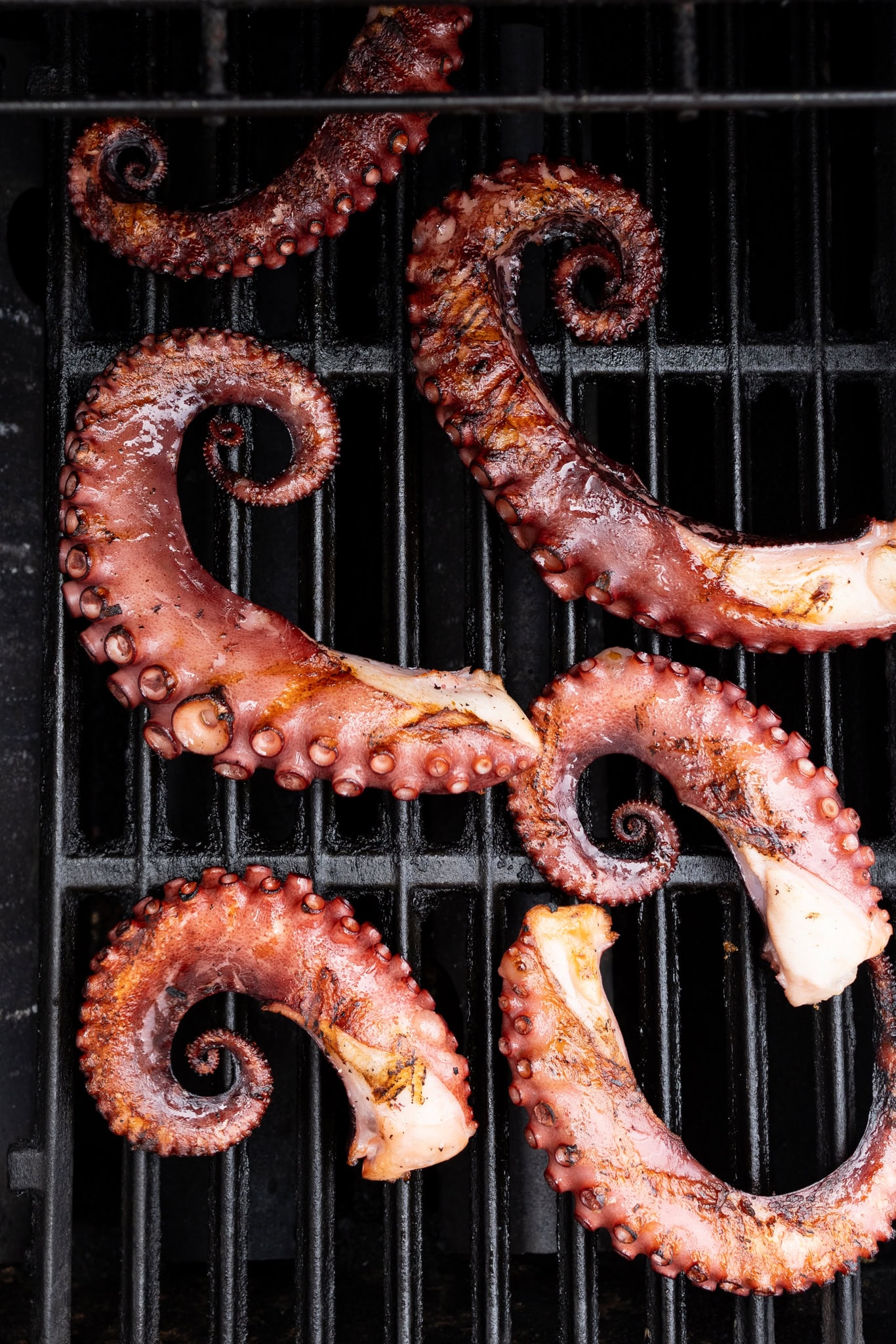 Grilled Octopus with an Olive Salsa Verde - The Bold Appetite